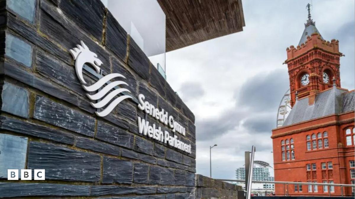 Senedd Fyw: Cwestiynau i'r Prif Weinidog - BBC Cymru Fyw