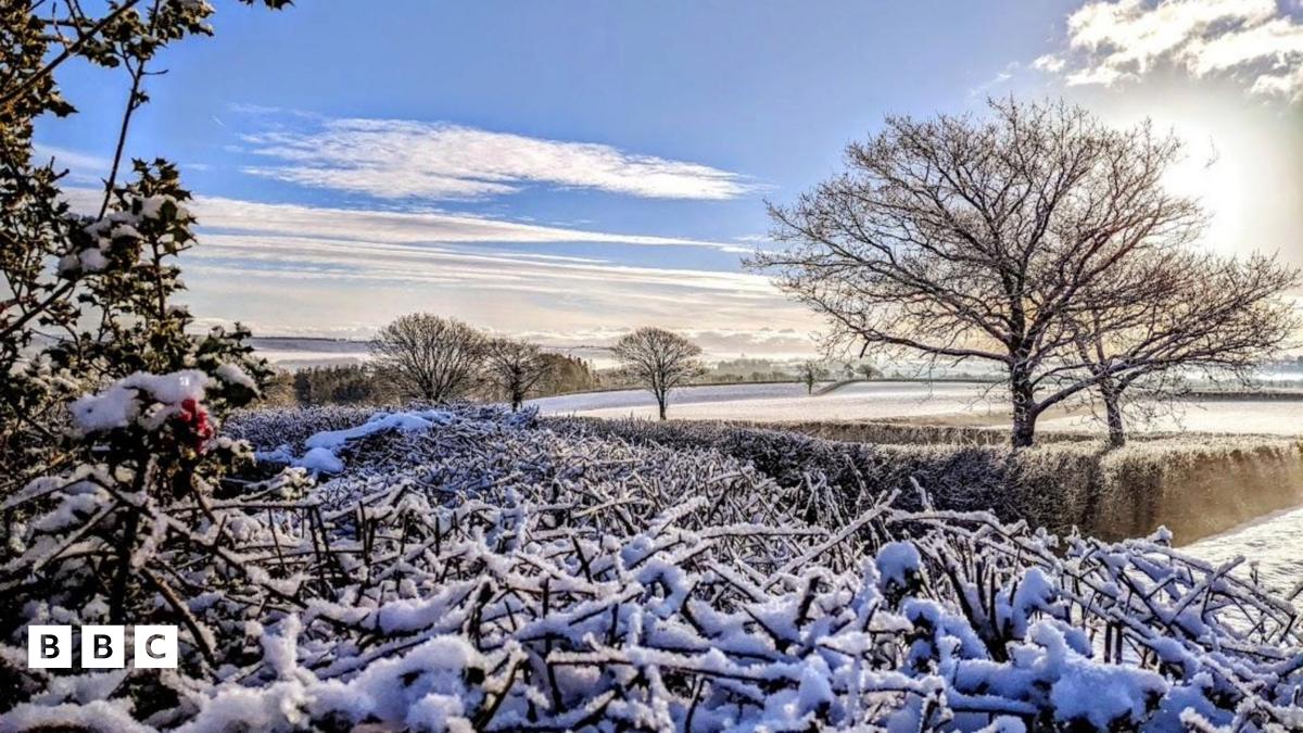 Cannoedd o ysgolion ar gau a rhybudd bod mwy o eira i ddod - BBC Cymru Fyw