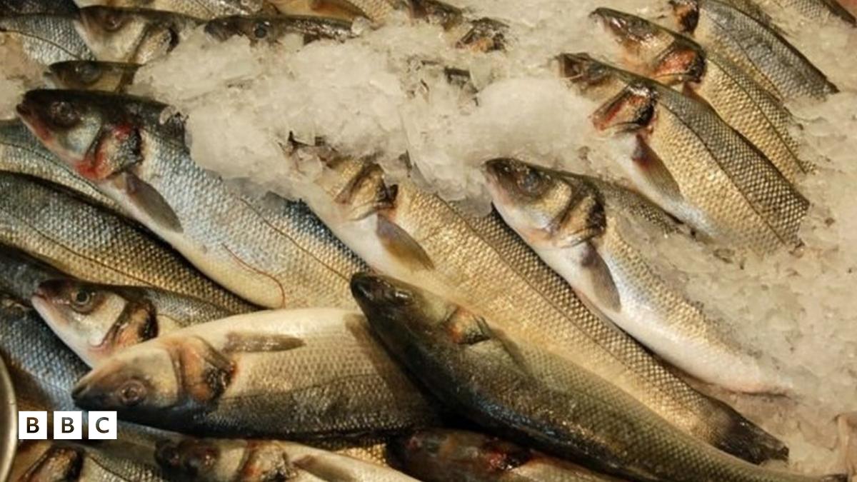 Rheolau UE: 'Niweidio'r diwydiant pysgota' - BBC Cymru Fyw