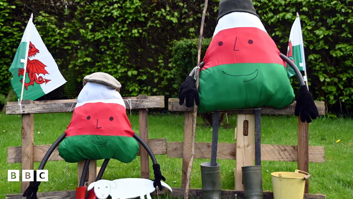 Lluniau: Mistar Urdd ym Maldwyn - BBC Cymru Fyw