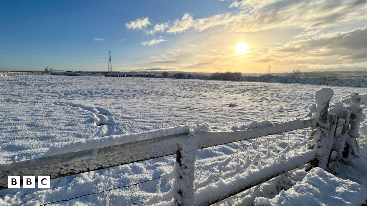Ysgolion ar gau wrth i eira a rhew daro'r de orllewin - BBC Cymru Fyw
