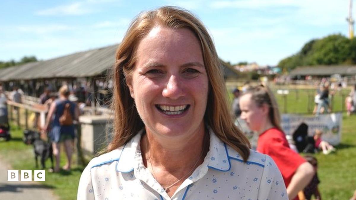 Virginia Crosbie: AS Môn i wynebu ymchwiliad Comisiynydd - BBC Cymru Fyw