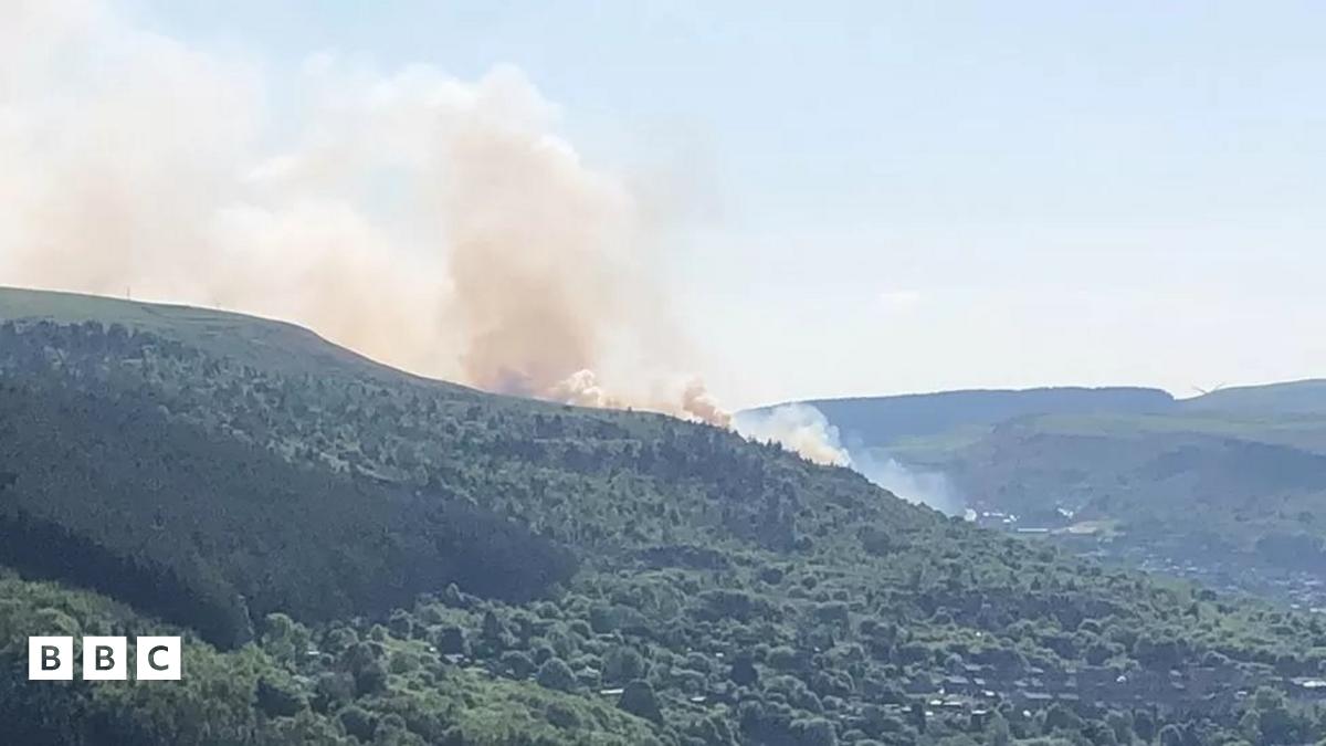 Apelio am wybodaeth ar ôl nifer o danau gwyllt - BBC Cymru Fyw
