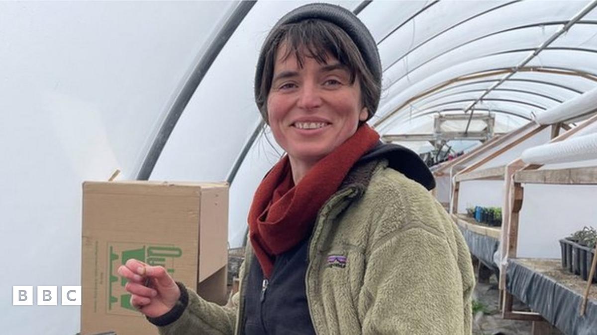 Amaeth: 'Pwysig deall o ble ddaw ein bwyd' - BBC Cymru Fyw