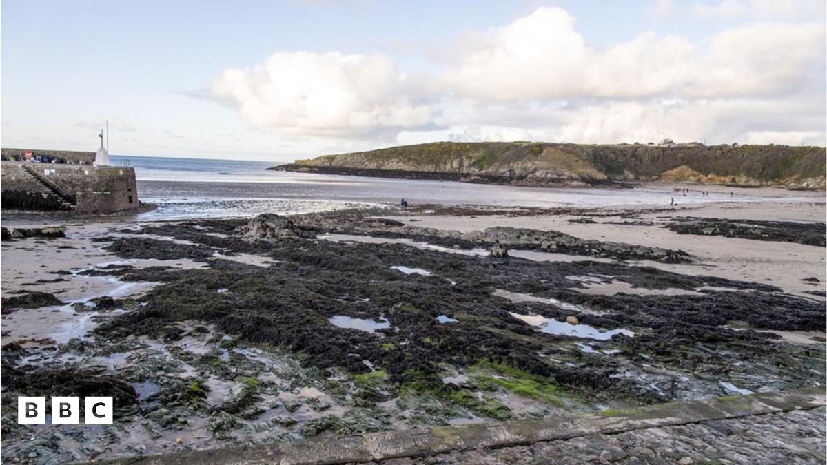 Ynys Môn: Cludo caiaciwr i'r ysbyty - BBC Cymru Fyw