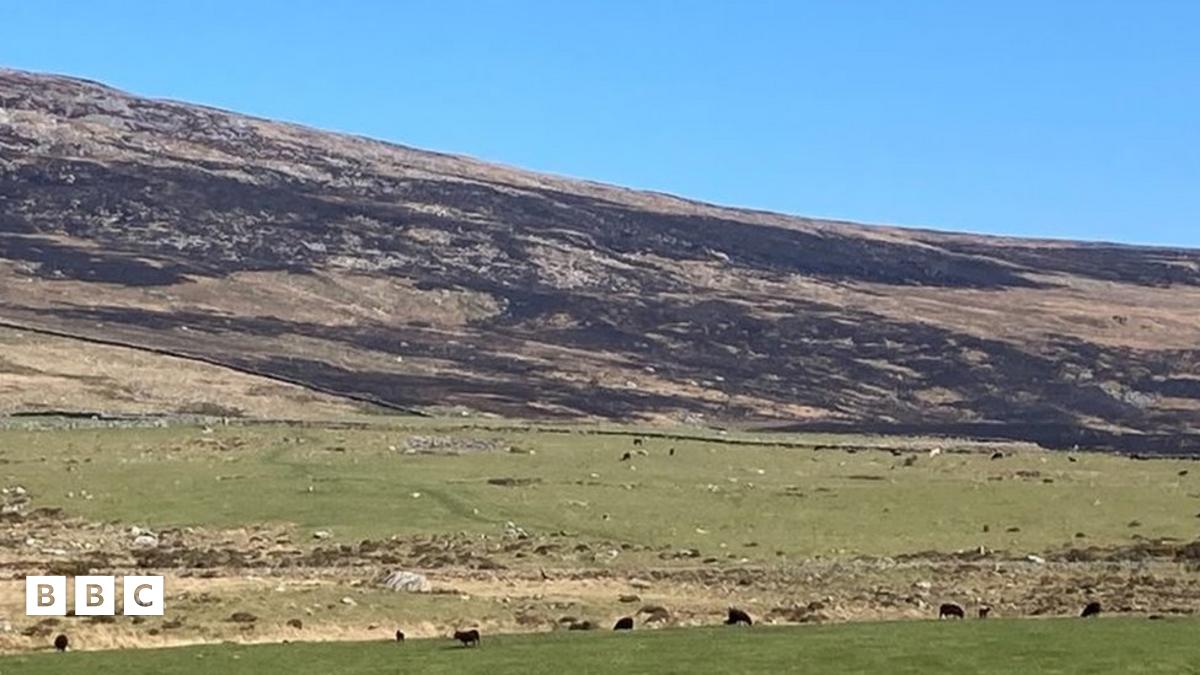 Criwiau tân yn ymladd tanau gwair ar draws Cymru - BBC Cymru Fyw