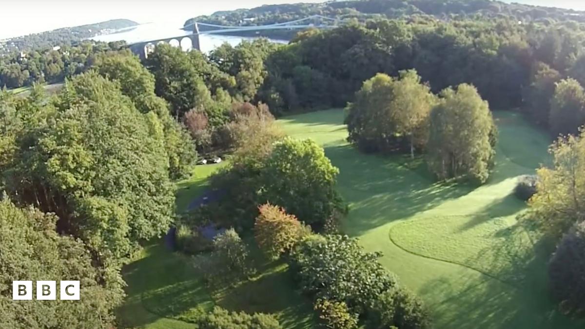 Yr ardd fotaneg gudd ar lan Afon Menai - BBC Cymru Fyw