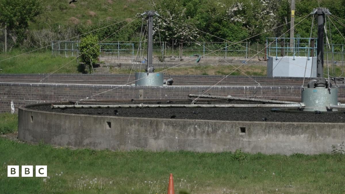 Dŵr Cymru'n cael dirwy £1.35m am fethu monitro ansawdd dŵr - BBC Cymru Fyw