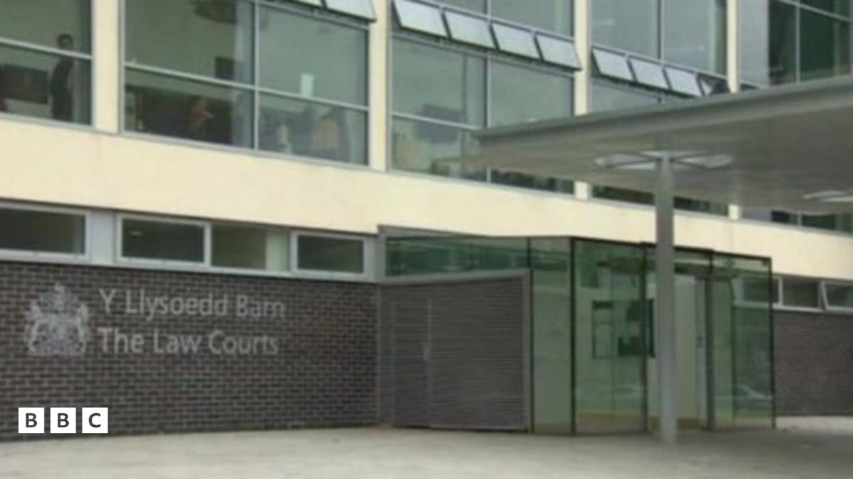 Dyn yn cyfaddef achosi marwolaeth dau drwy yrru'n beryglus - BBC Cymru Fyw