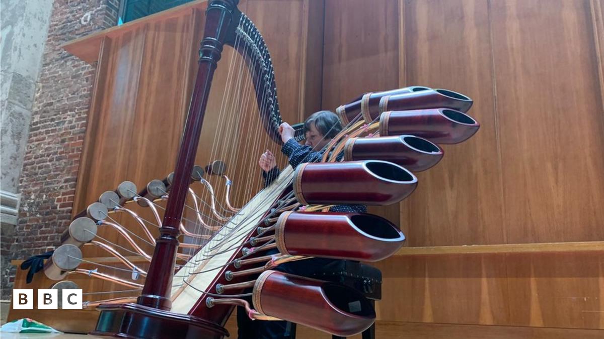 Telyn deires? Mae gan hon 20 braich! - BBC Cymru Fyw