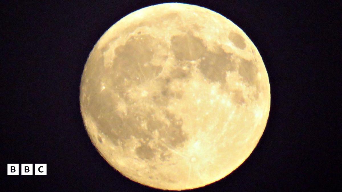 Traddodiadau lleuad y cynhaeaf - BBC Cymru Fyw