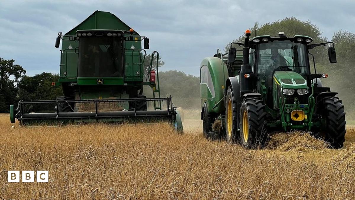 Treth etifeddiant i effeithio ar 'gyfran fechan iawn' o ffermwyr - BBC ...