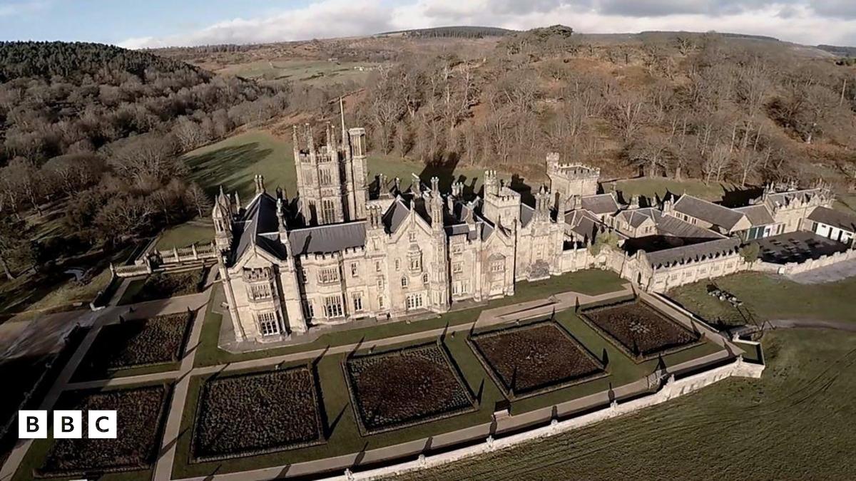 Dewch i grwydro Parc Margam a maes Eisteddfod yr Urdd eleni - BBC Cymru Fyw