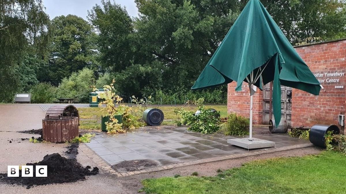 Parc Bute: Perllan i'r gymuned wedi fandaliaeth - BBC Cymru Fyw