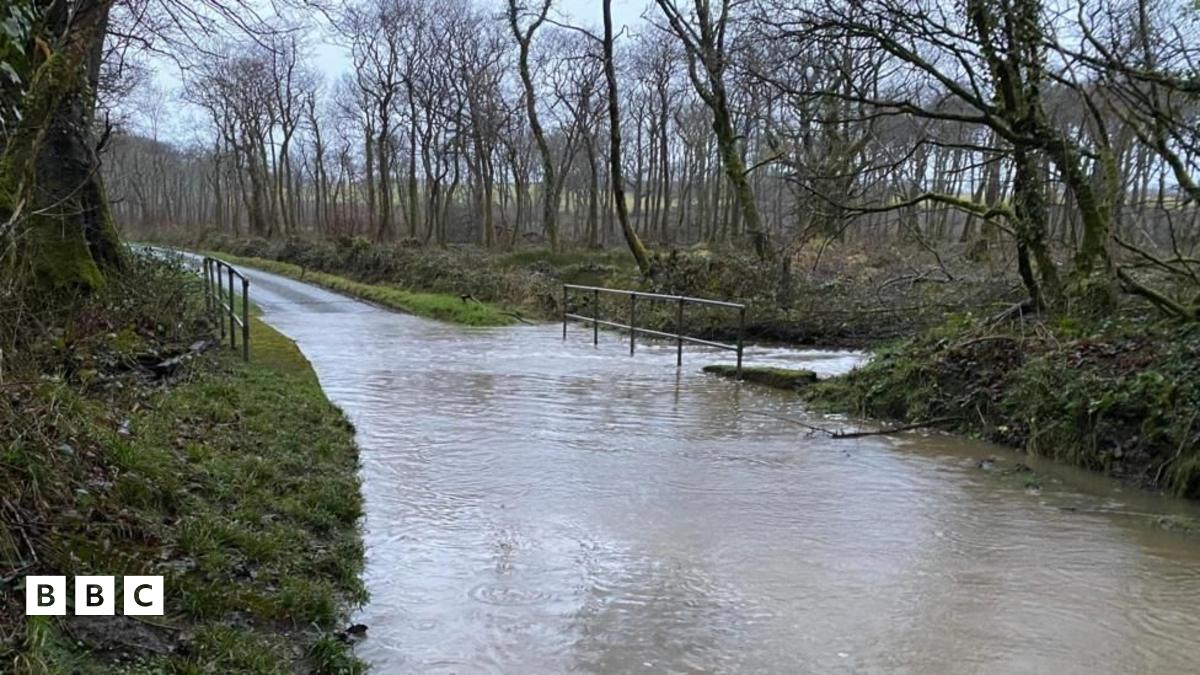 Rhybuddion llifogydd mewn grym yn dilyn glaw dros nos - BBC Cymru Fyw