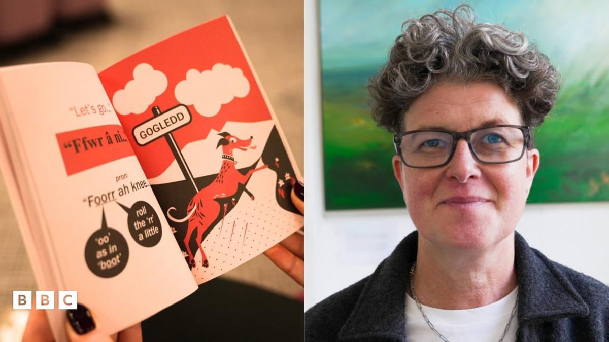 'Ymateb anhygoel' i lyfr sy'n 'dysgu Cymraeg' i anifeiliaid anwes - BBC ...