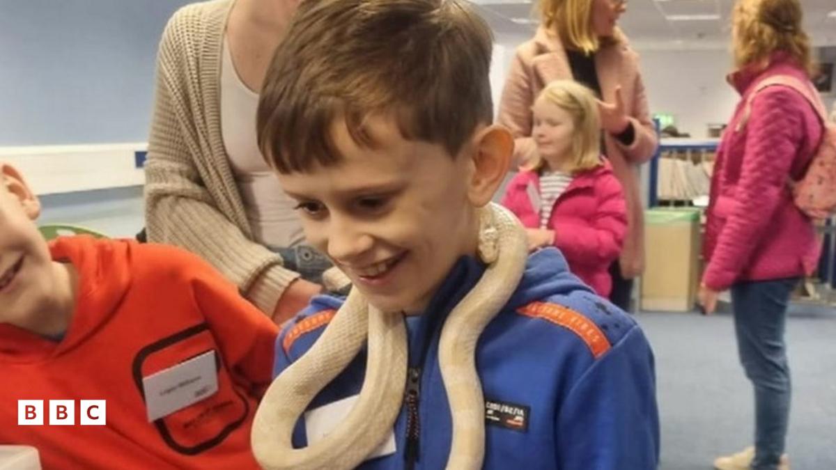Cymorth i blant ysgol â nam golwg yn 'anghyson' - BBC Cymru Fyw