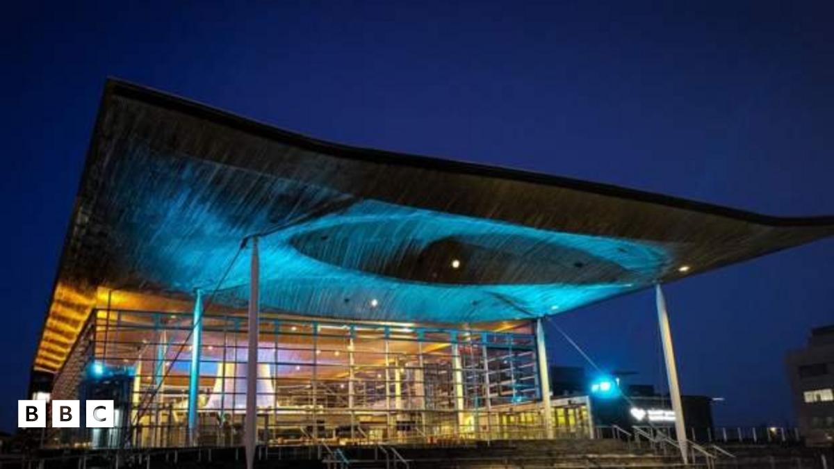'Ymddygiad bron pob Aelod o'r Senedd o safon uchel' - BBC Cymru Fyw