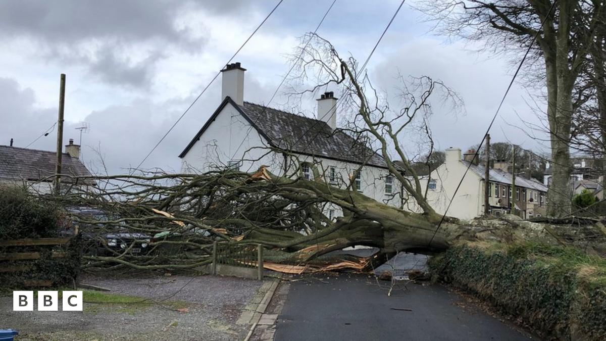 25 rhybudd llifogydd mewn grym wedi'r tywydd garw - BBC Cymru Fyw