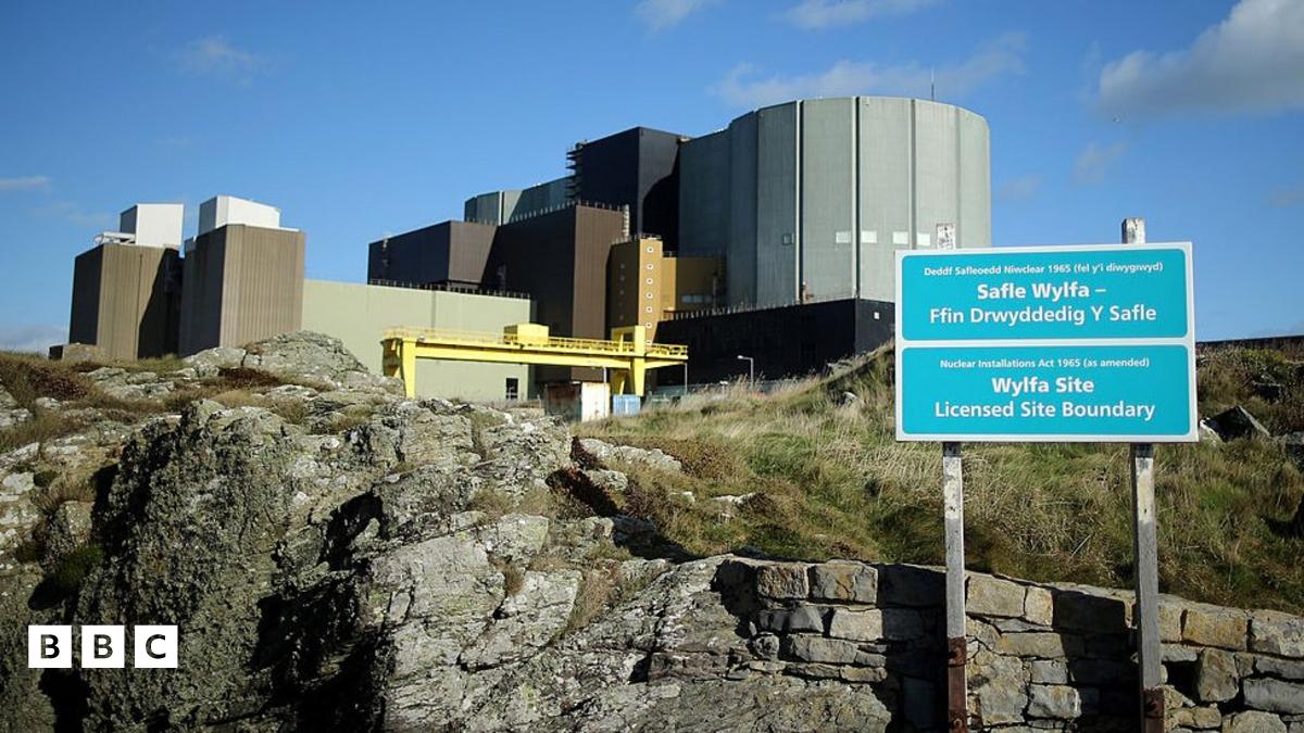 Ehangu'r sector niwclear: Wylfa yn un o'r ceffylau blaen - BBC Cymru Fyw