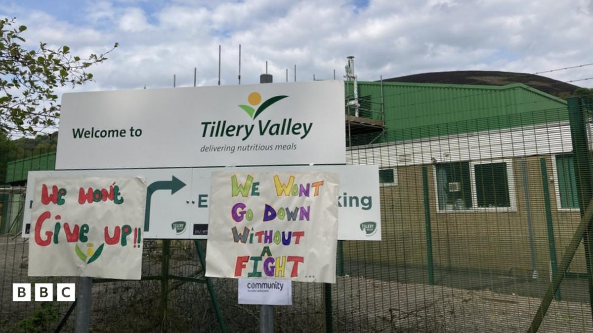 Colli 250 o swyddi wrth gau ffatri fwyd yn Abertyleri - BBC Cymru Fyw