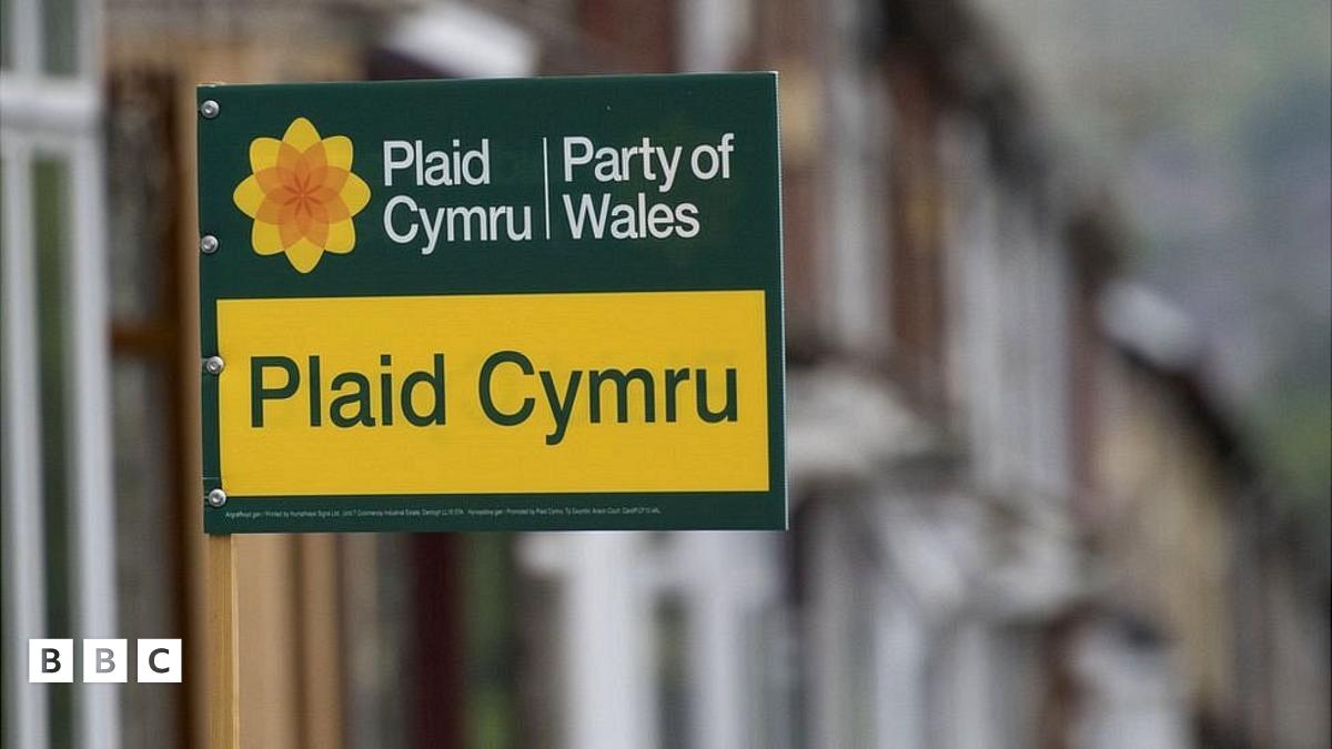 Plaid Cymru: 'Diwylliant o aflonyddu, bwlio a misogynistiaeth' - BBC ...