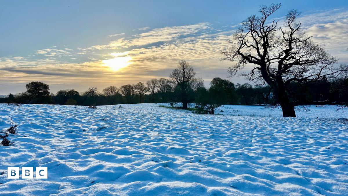 Mwy na 30 o ysgolion y gogledd ar gau oherwydd rhew ac eira - BBC Cymru Fyw
