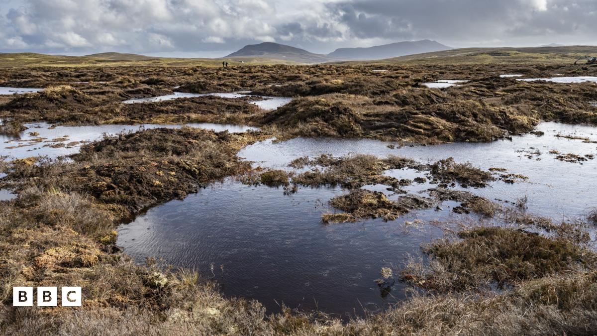 Galw am fwy o fuddsoddiad i ddefnyddio natur i atal llifogydd - BBC ...