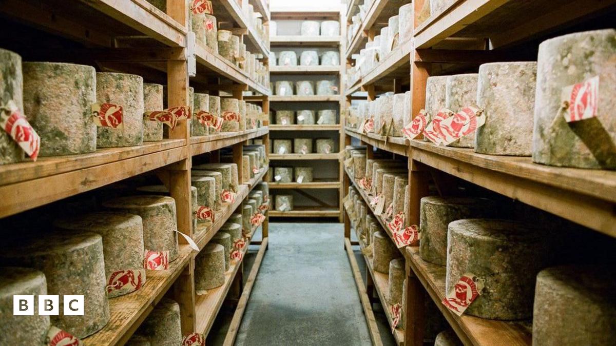 Caws Cymreig yn cael ei ddwyn o hufenfa yn Llundain - BBC Cymru Fyw