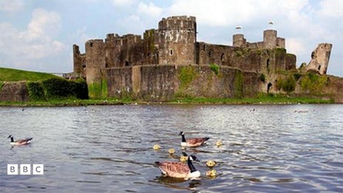 Bandiau Cymraeg yng ngŵyl castell Caerffili - BBC Cymru Fyw