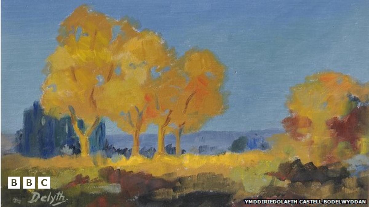 Delyth Llwyd: Arlunwraig y Wladfa - BBC Cymru Fyw