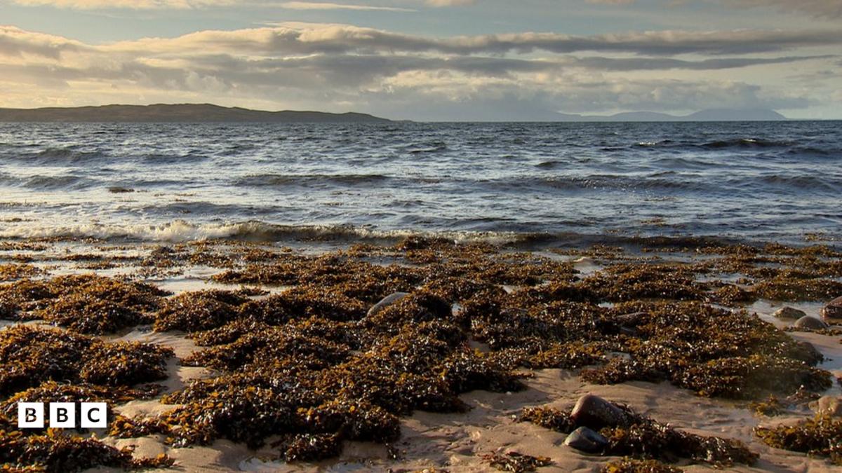 Amharas gun robhar a' dreidseadh ann an sgìre ghlèidhte aig muir ...