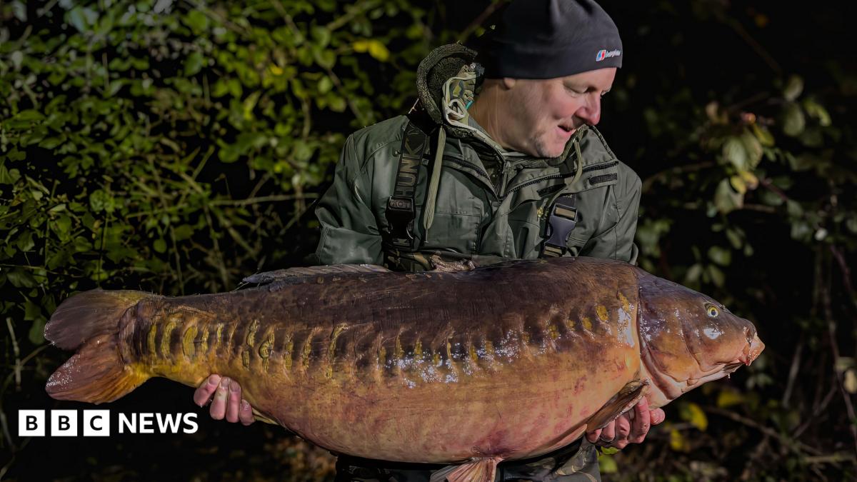 Berkshire: Man 'ecstatic' to catch near-record fish in Ditton - BBC News