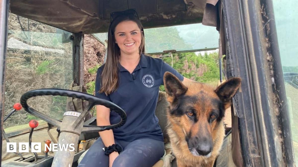 BBC Farmwatch: BBC spends day with farmers across England - BBC News
