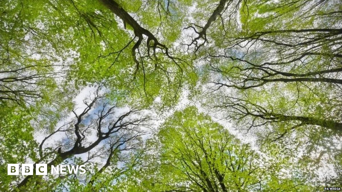 Adur council to throw out developers' 'unrealistic' plans - BBC News