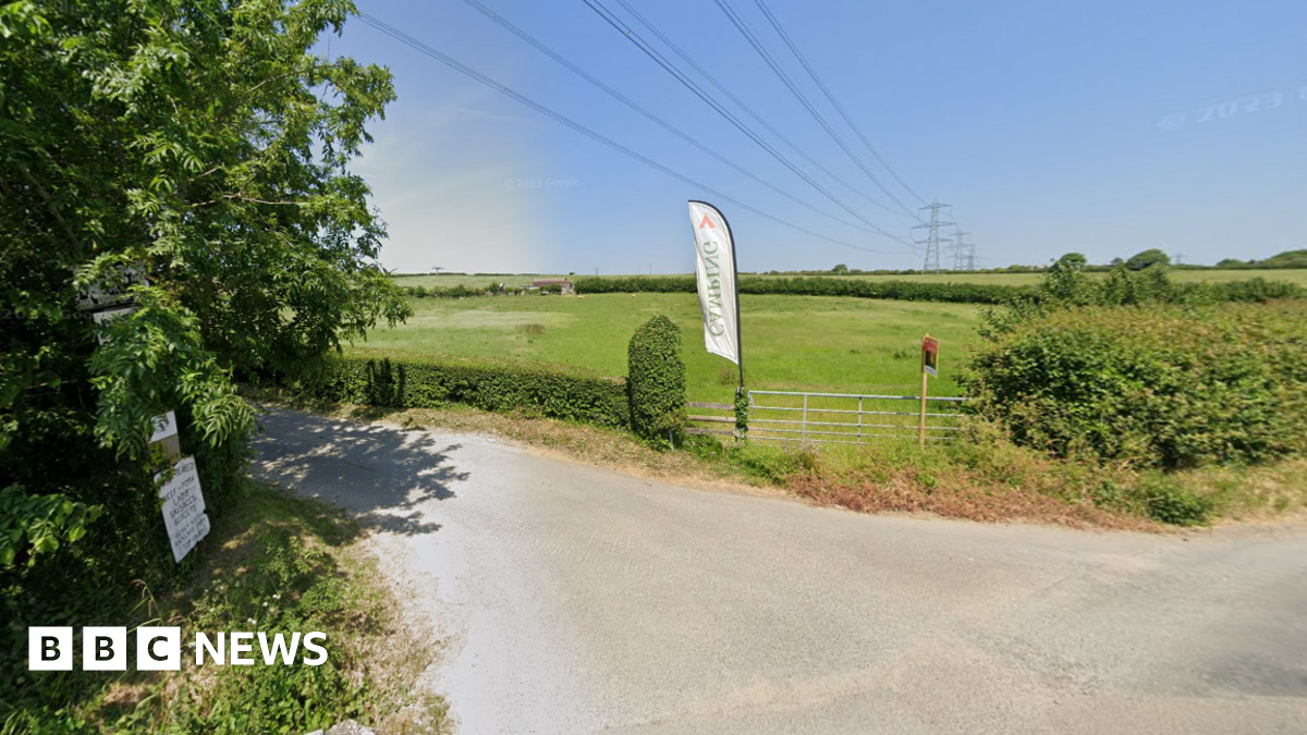 Council-owned farm in Chickerell earmarked for solar project - BBC News