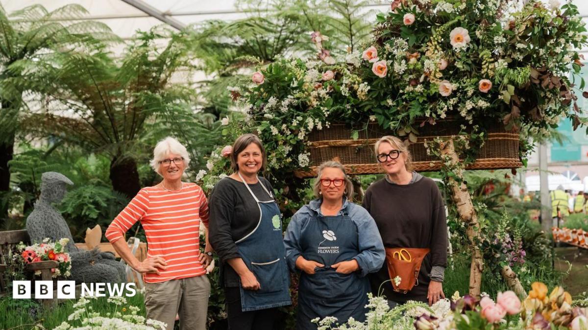 Funeral flowers bags Gill Hodgson gold at Chelsea Flower Show - BBC News