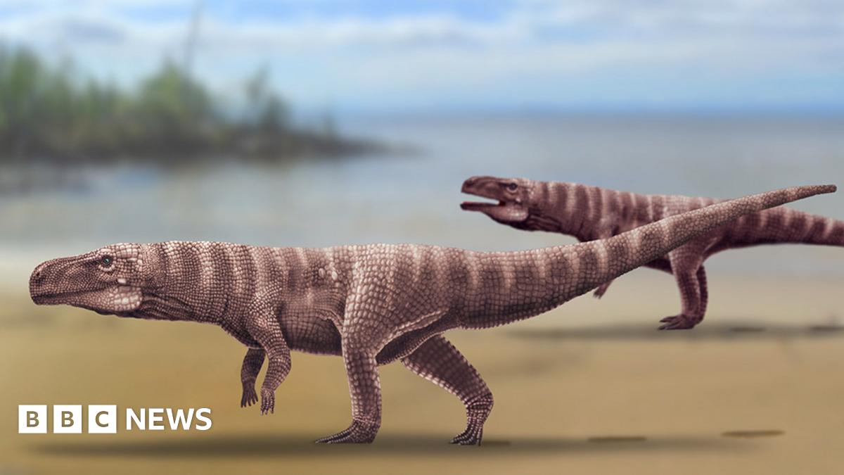 Fossil tracks left by an ancient crocodile that 'ran like an ostrich ...