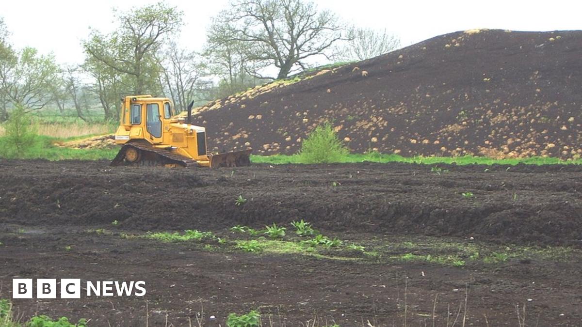 Climate change: England's gardeners set for peat compost ban - BBC News