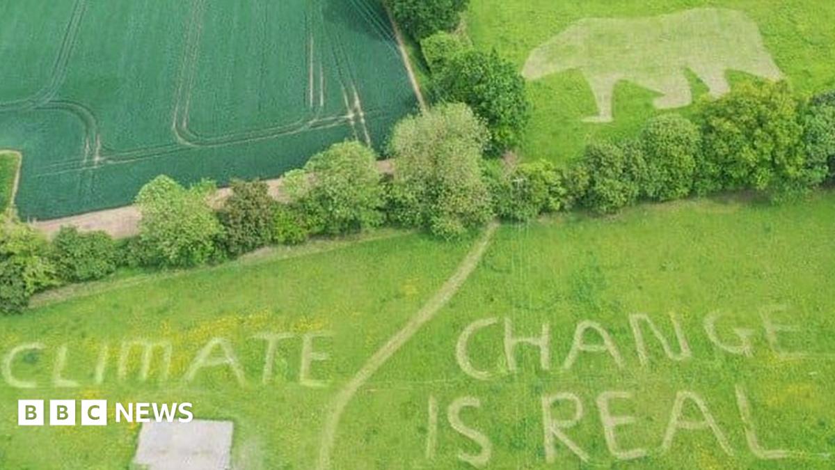 Donald Trump visit: Student mows green message for President Trump ...