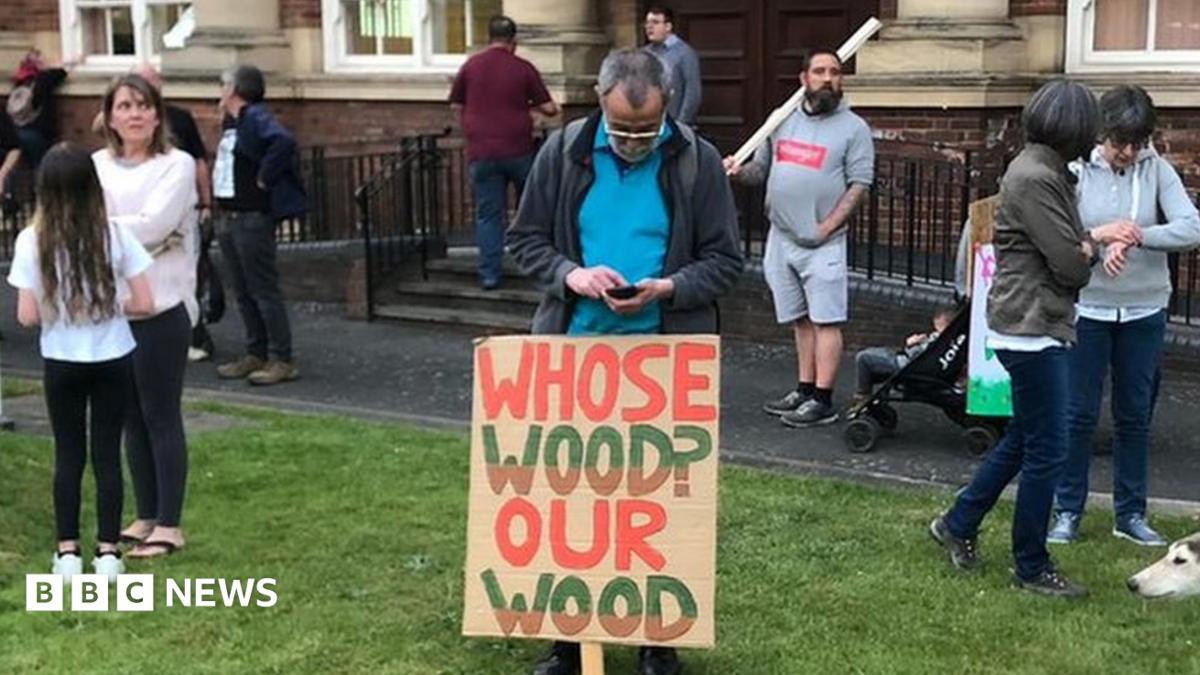 Weekley Hall Wood: Council approves plans for warehouse - BBC News