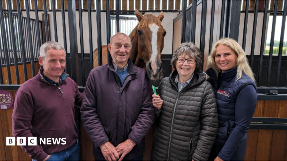 The Horse of the Year Show: Native River qualifies for 2024 - BBC News