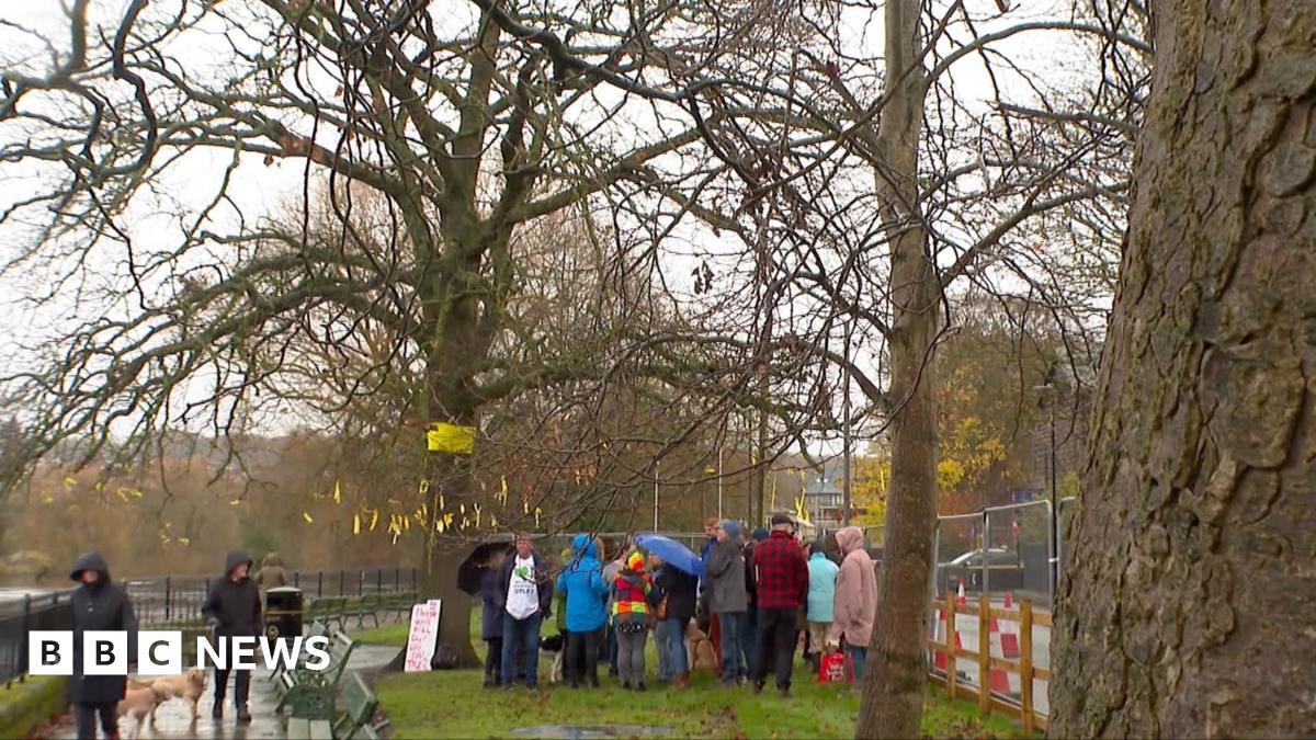 Otley Bridge repairs tree felling plan paused until new year - BBC News