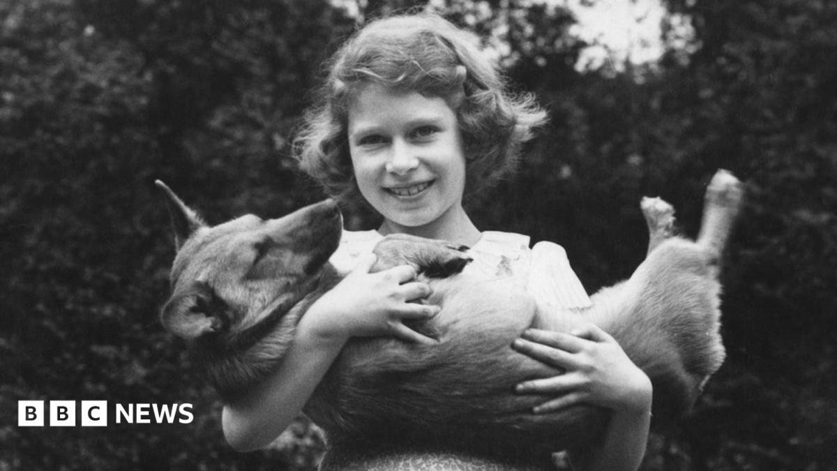 The Queen and her corgis shown in photo exhibition - BBC News