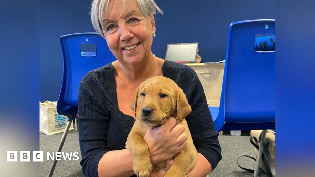 Award for Sheffield couple who trained support dogs - BBC News