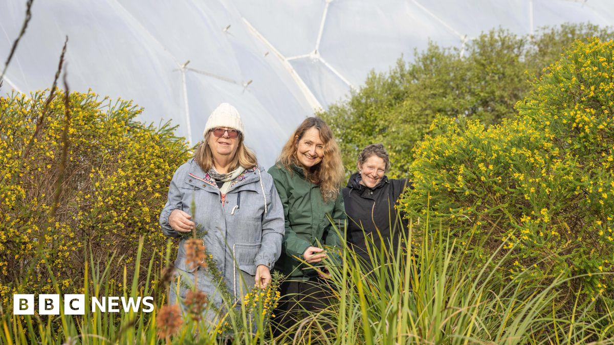 Eden Project nature recovery scheme gets £2m funding boost - BBC News