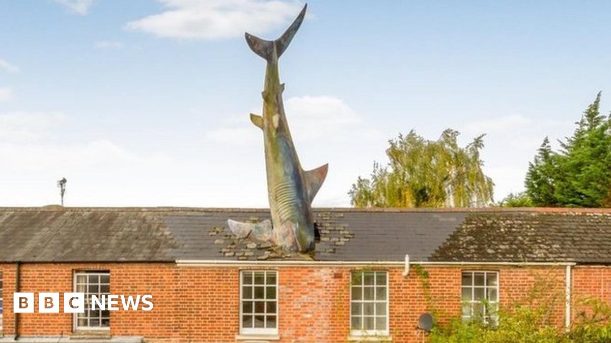 Oxford's Headington Shark house Airbnb row deepens - BBC News
