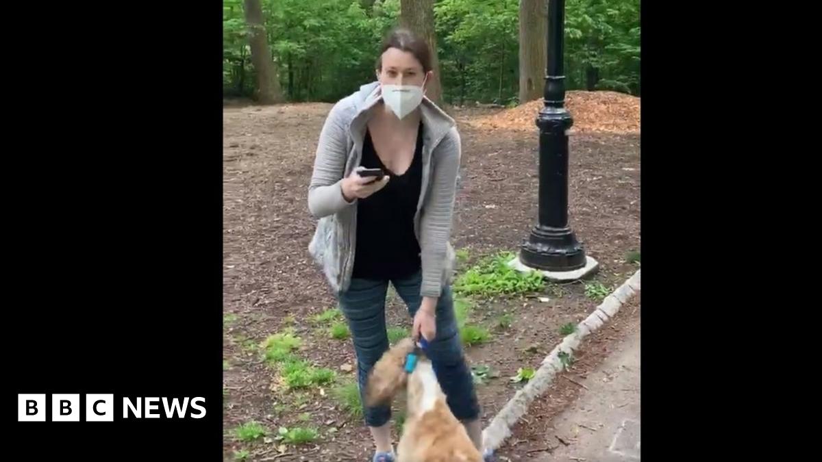 Amy Cooper: Woman sacked after calling police on black man - BBC News