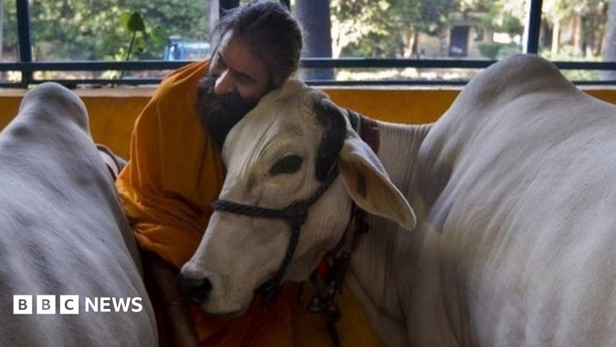 India Hindus: Modi urges action against cow vigilantes - BBC News