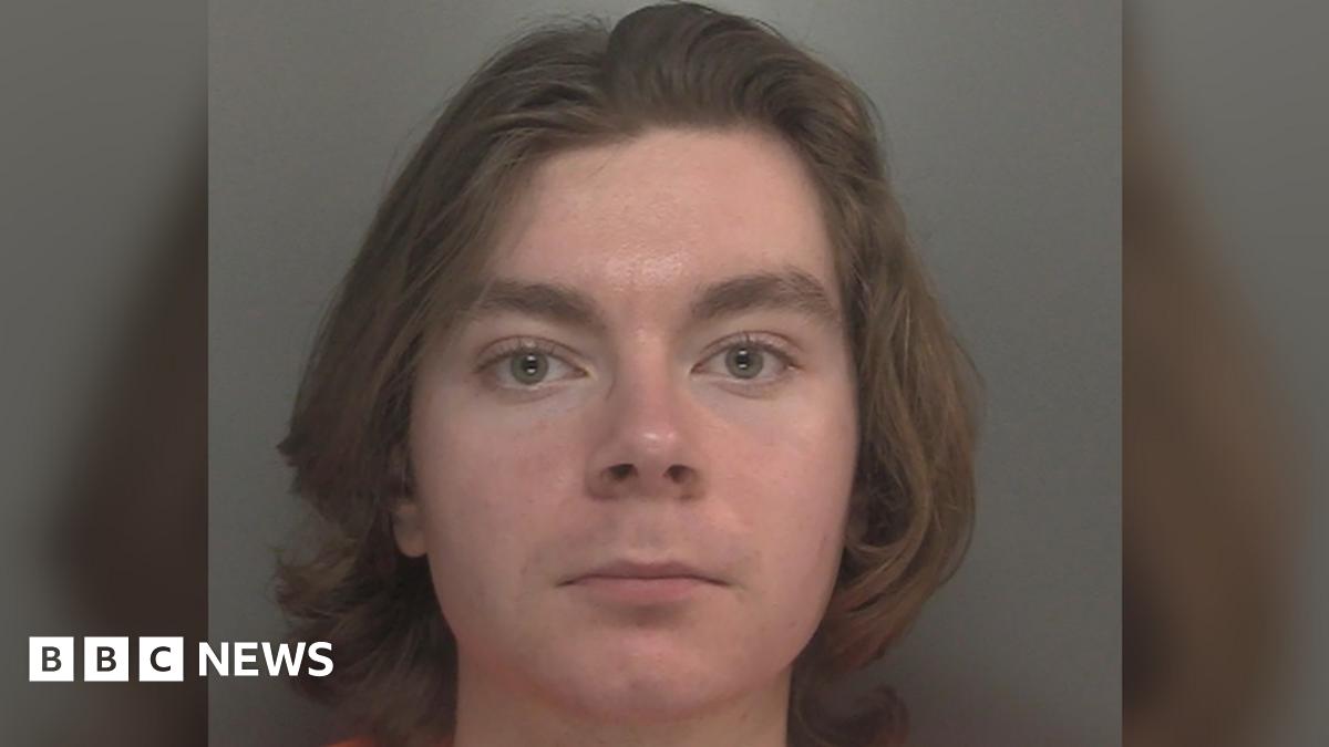 Everton match goalpost protester sentenced - BBC News